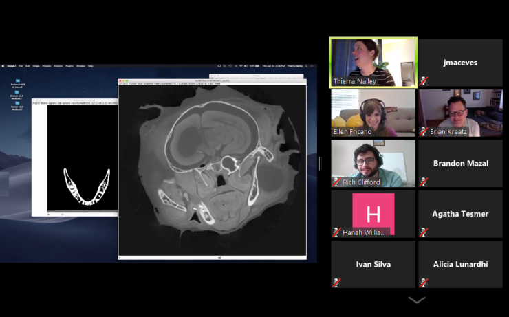 Anatomy Track Capture 4 | WesternU News