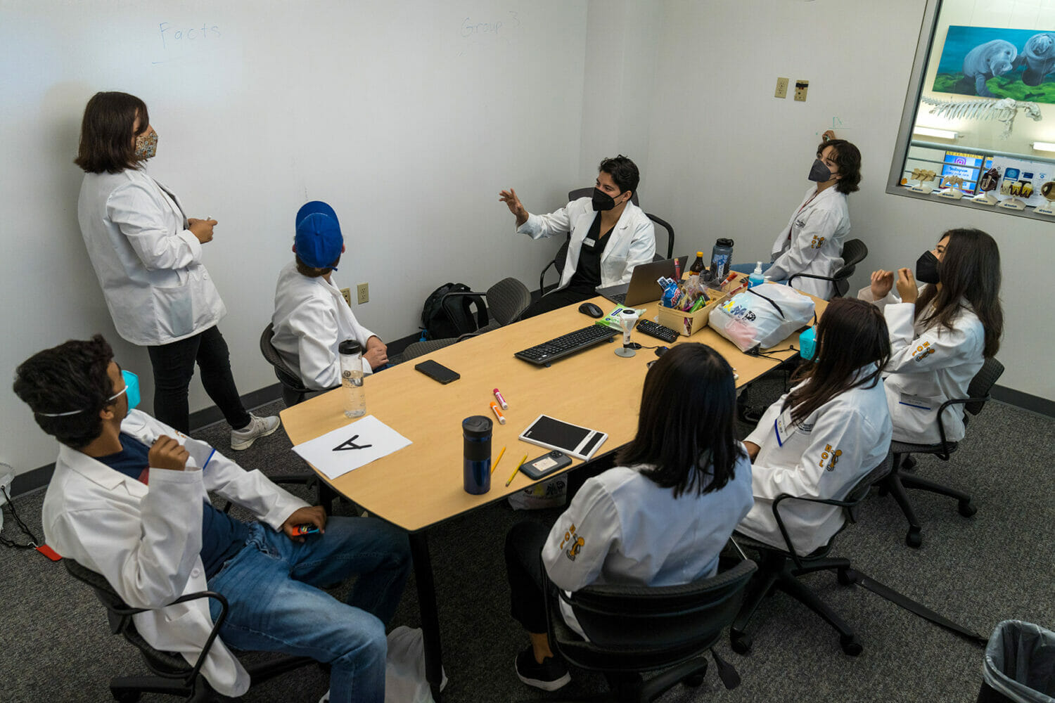 Veterinary Summer Enrichment Camp Participants Learn through Hands-On ...