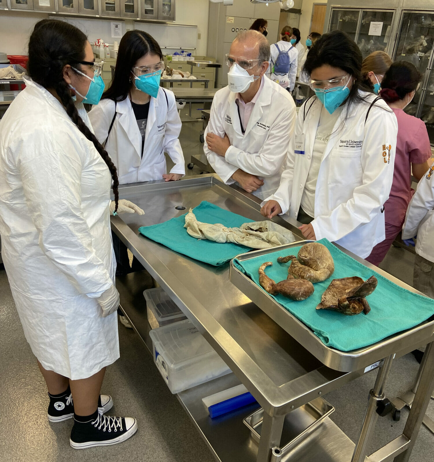 Veterinary Summer Enrichment Camp Participants Learn through Hands-On ...