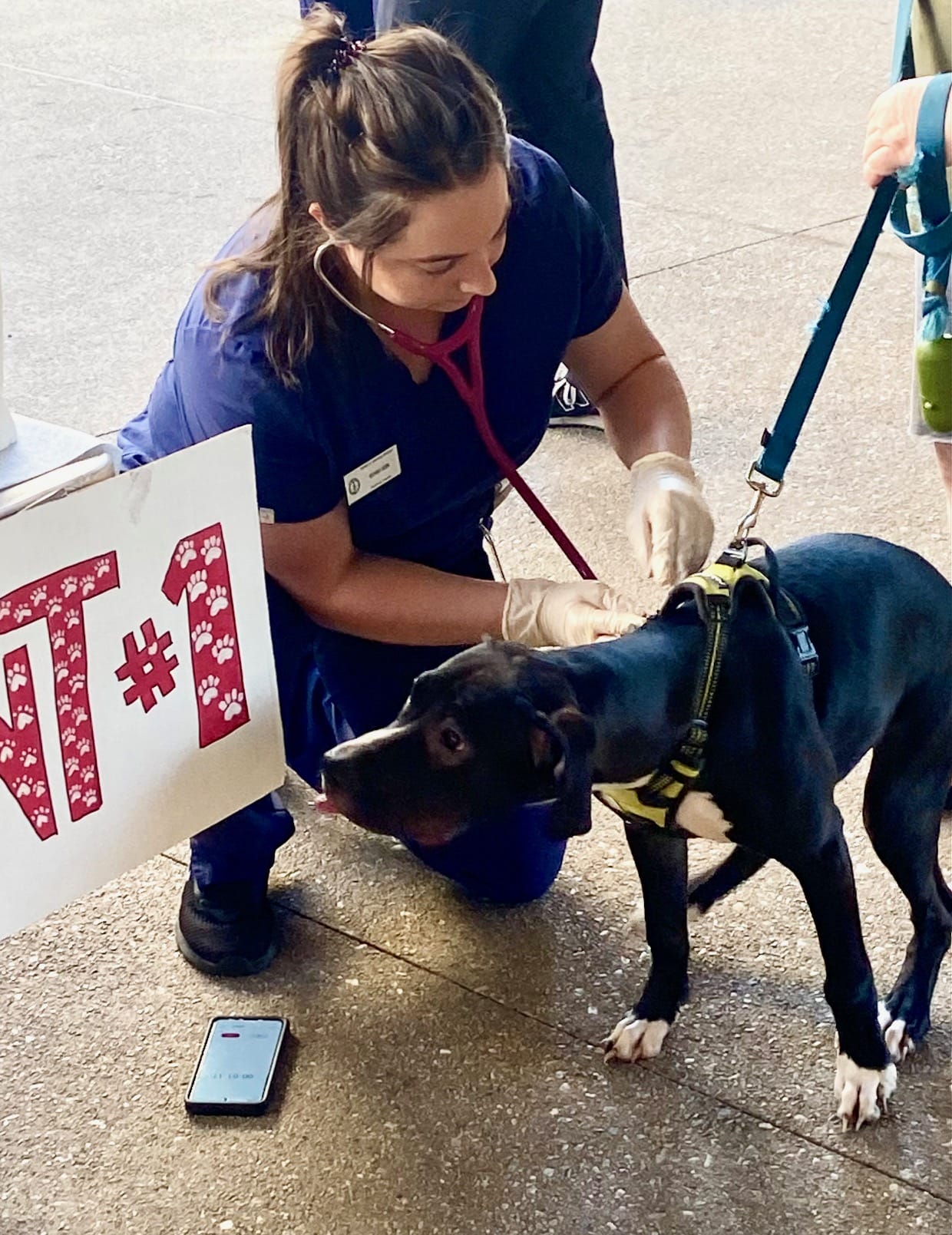 WesternU College of Veterinary Medicine Street Dog Clinic is becoming a ...